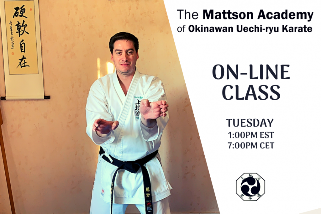 Cours de Karate Uechi-Ryu en ligne avec la Mattson Academy - Uechi-Ryu ...