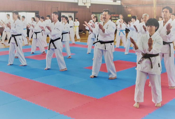 Le Hojo Undo du Karate Uechi-Ryu - Uechi-Ryu Karate-Do Oryukai